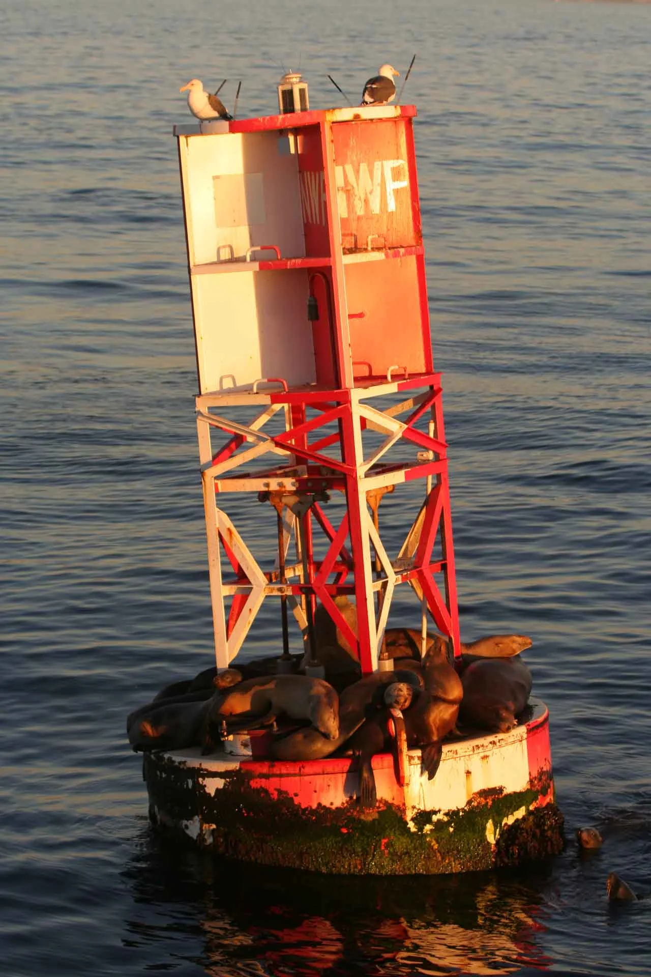 Overview — Sea life Discovery Tours