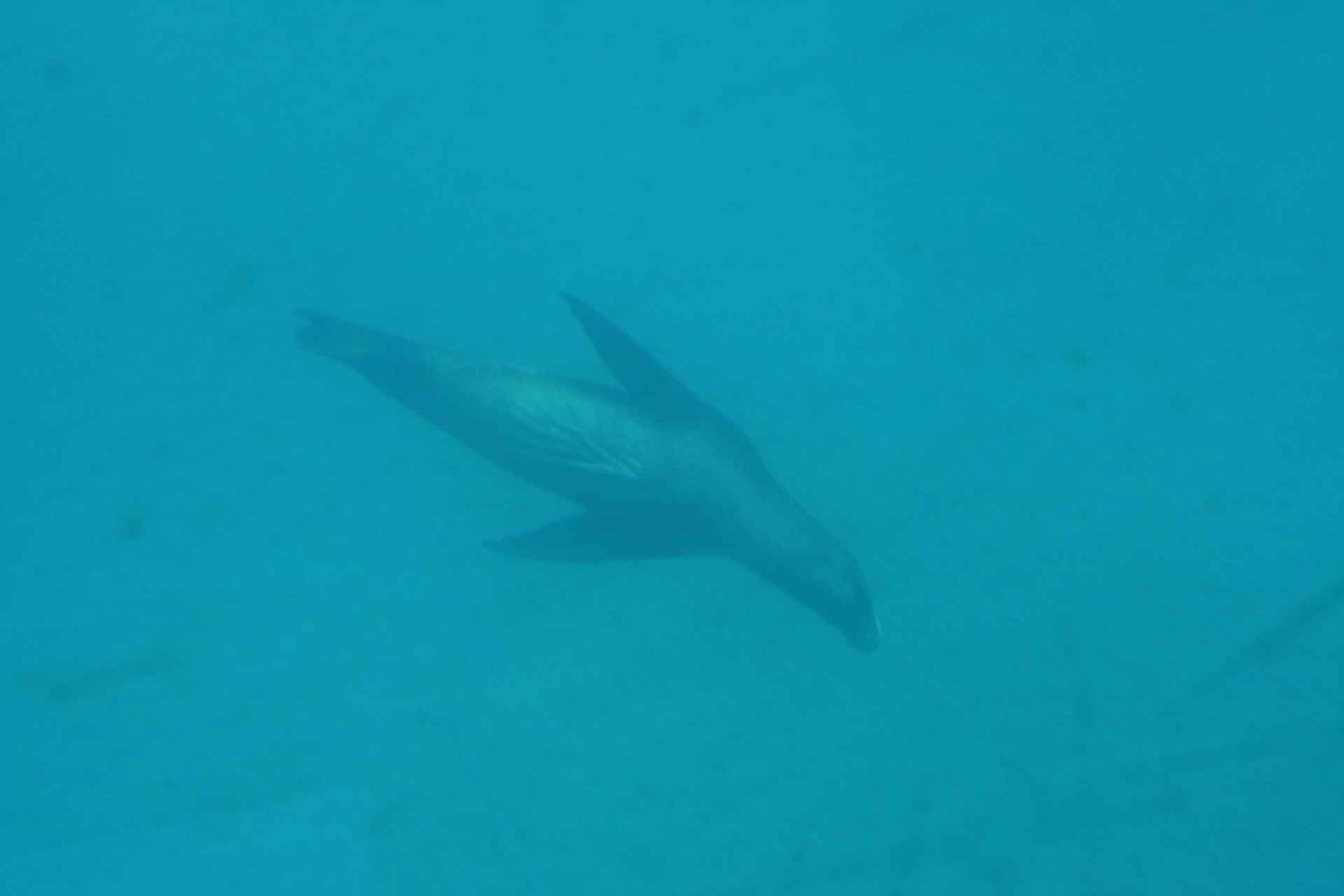 Overview — Sea life Discovery Tours