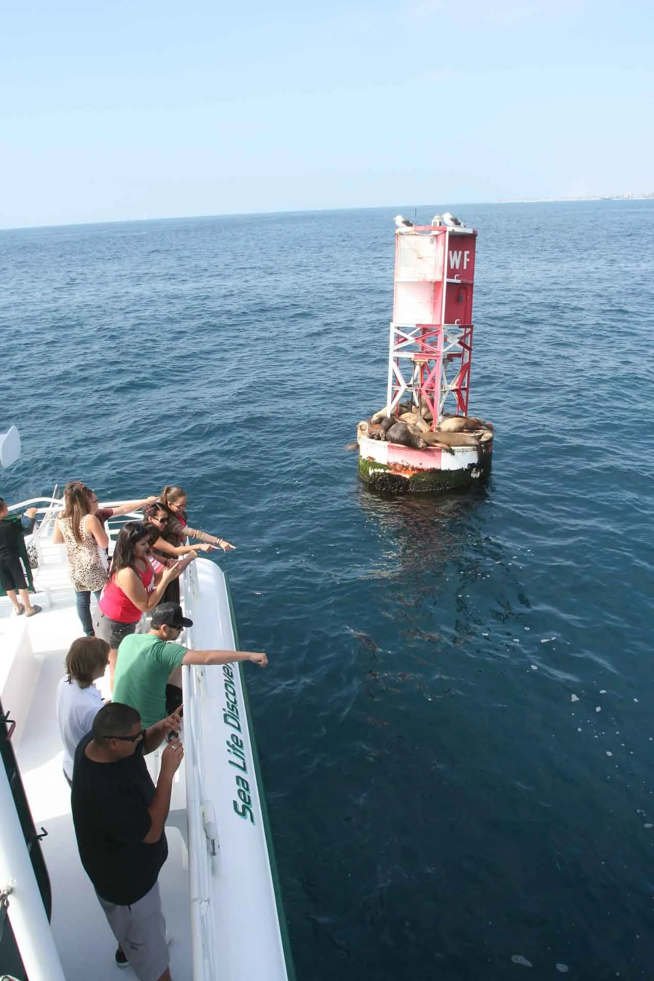 Overview — Sea life Discovery Tours