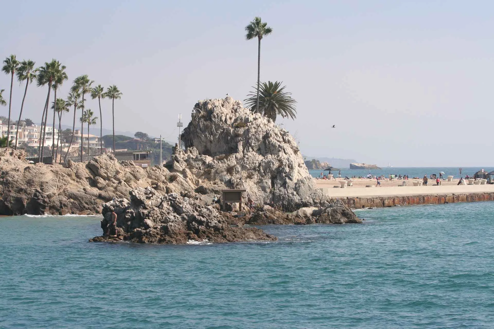 Overview — Sea life Discovery Tours