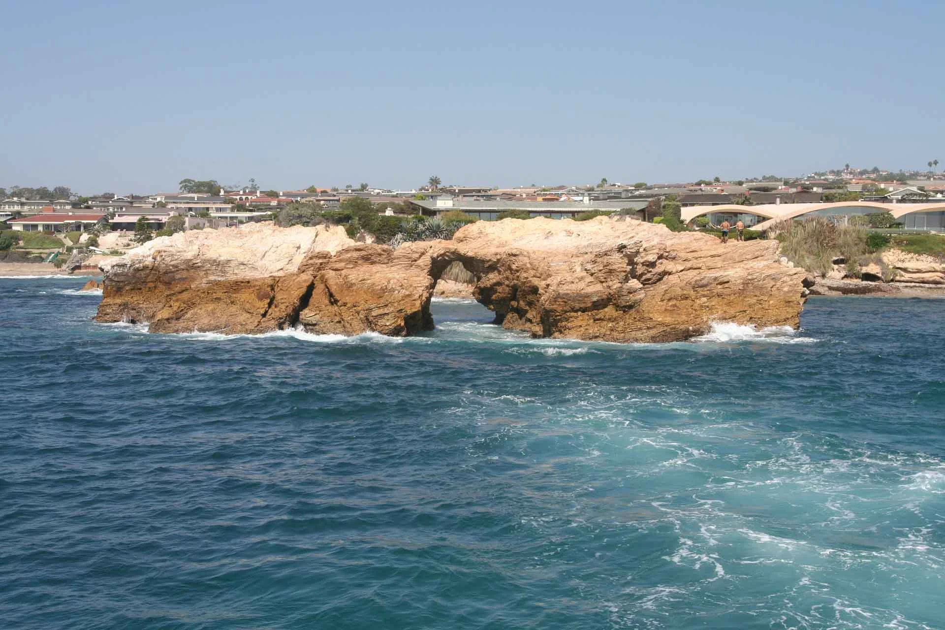 Overview — Sea life Discovery Tours