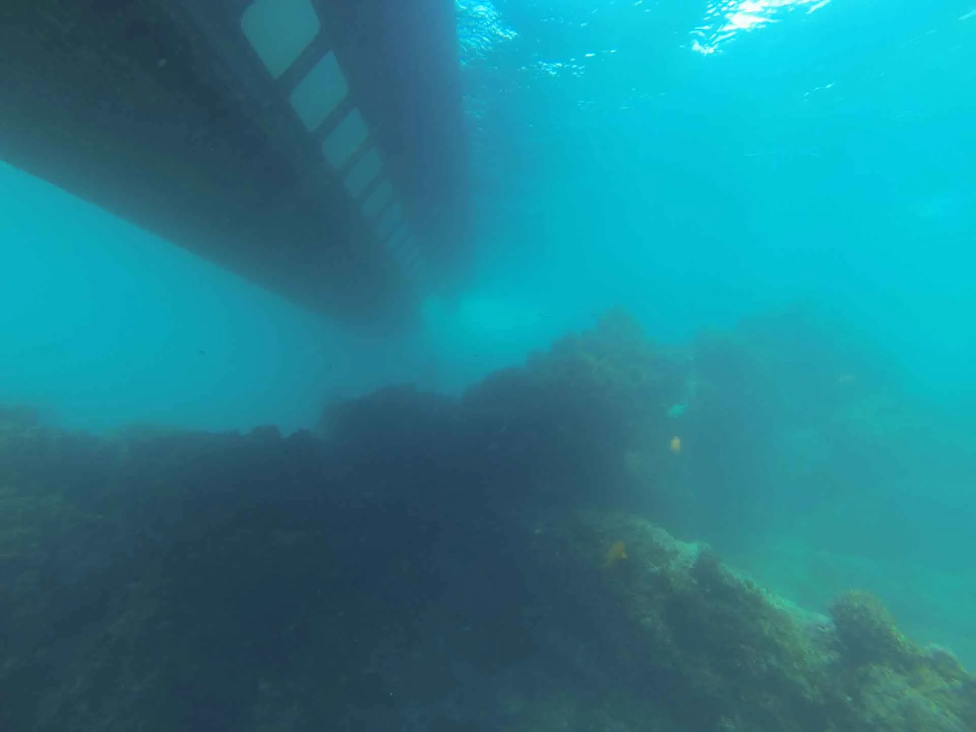 Overview — Sea life Discovery Tours