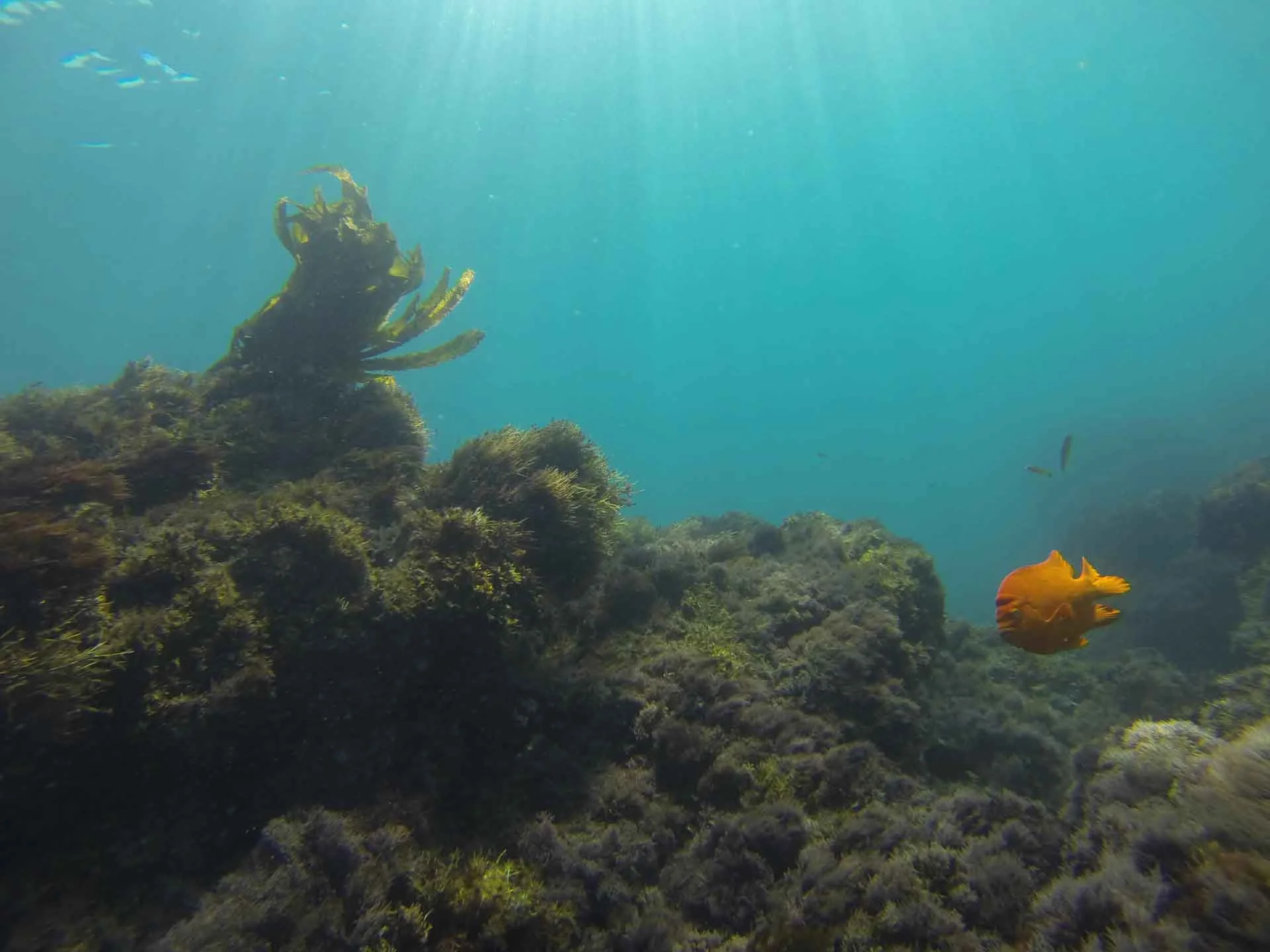 Overview — Sea life Discovery Tours