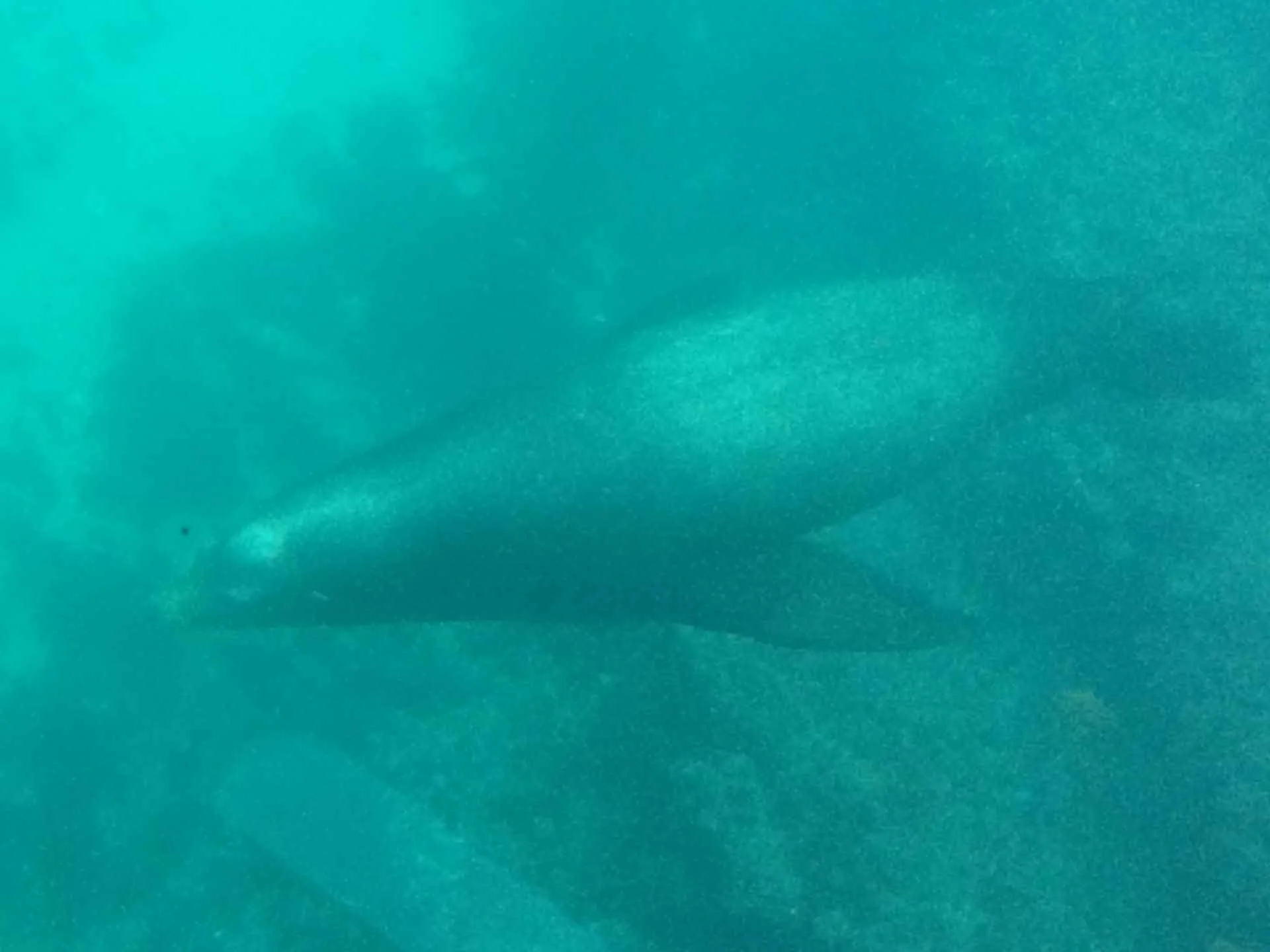 Overview — Sea life Discovery Tours