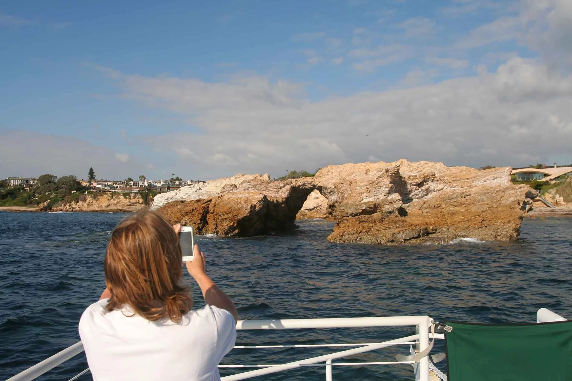 Overview — Sea life Discovery Tours