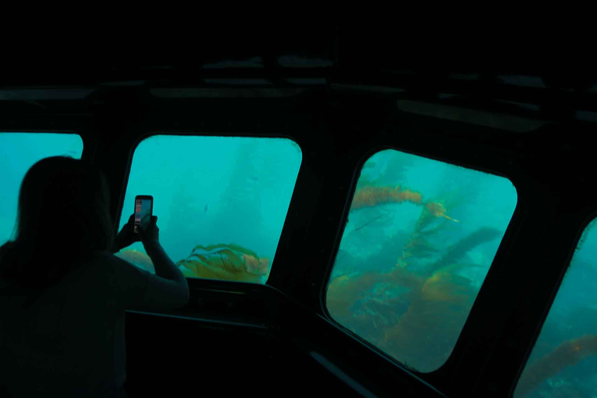 Overview — Sea life Discovery Tours