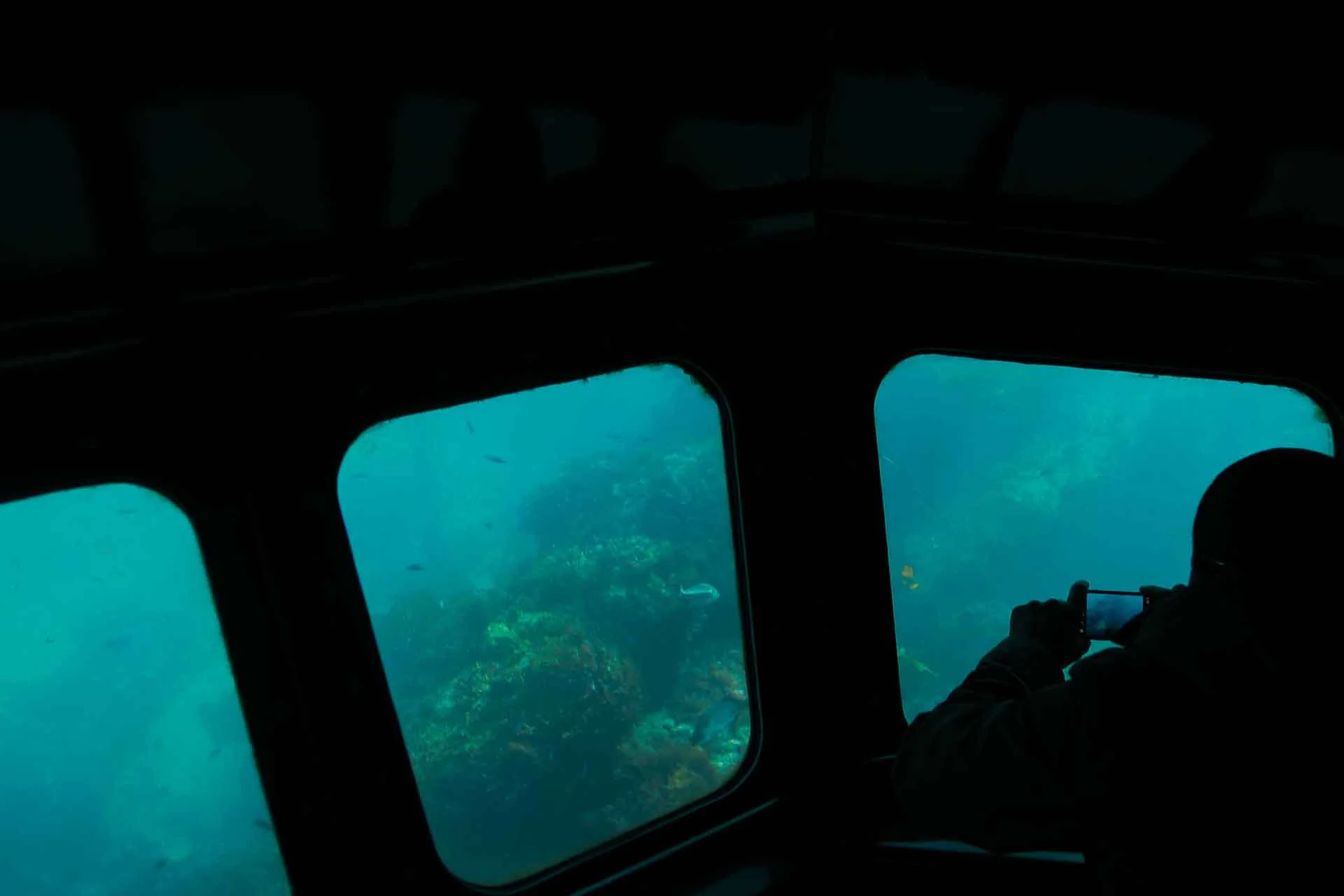 Overview — Sea life Discovery Tours