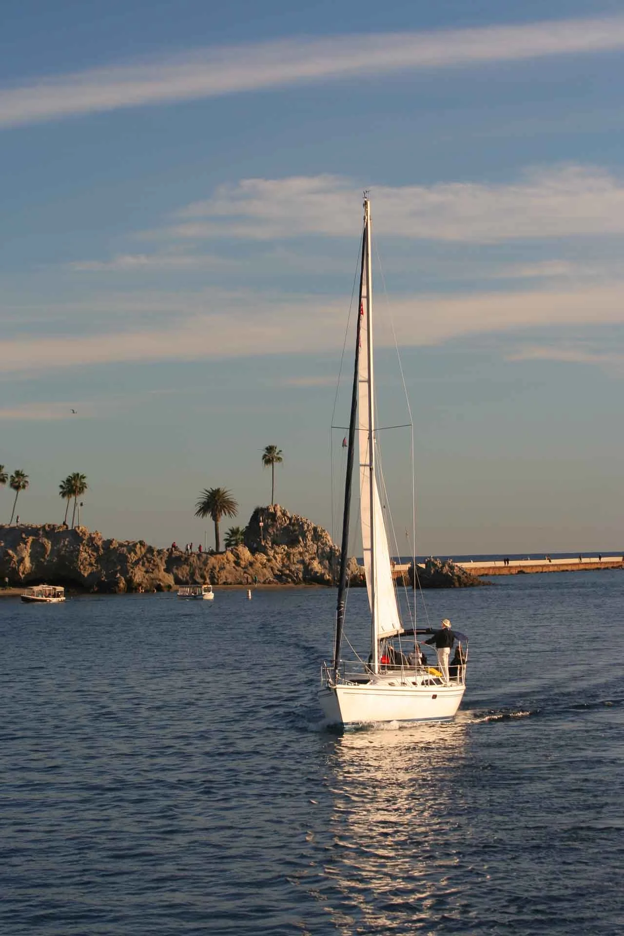 Overview — Sea life Discovery Tours
