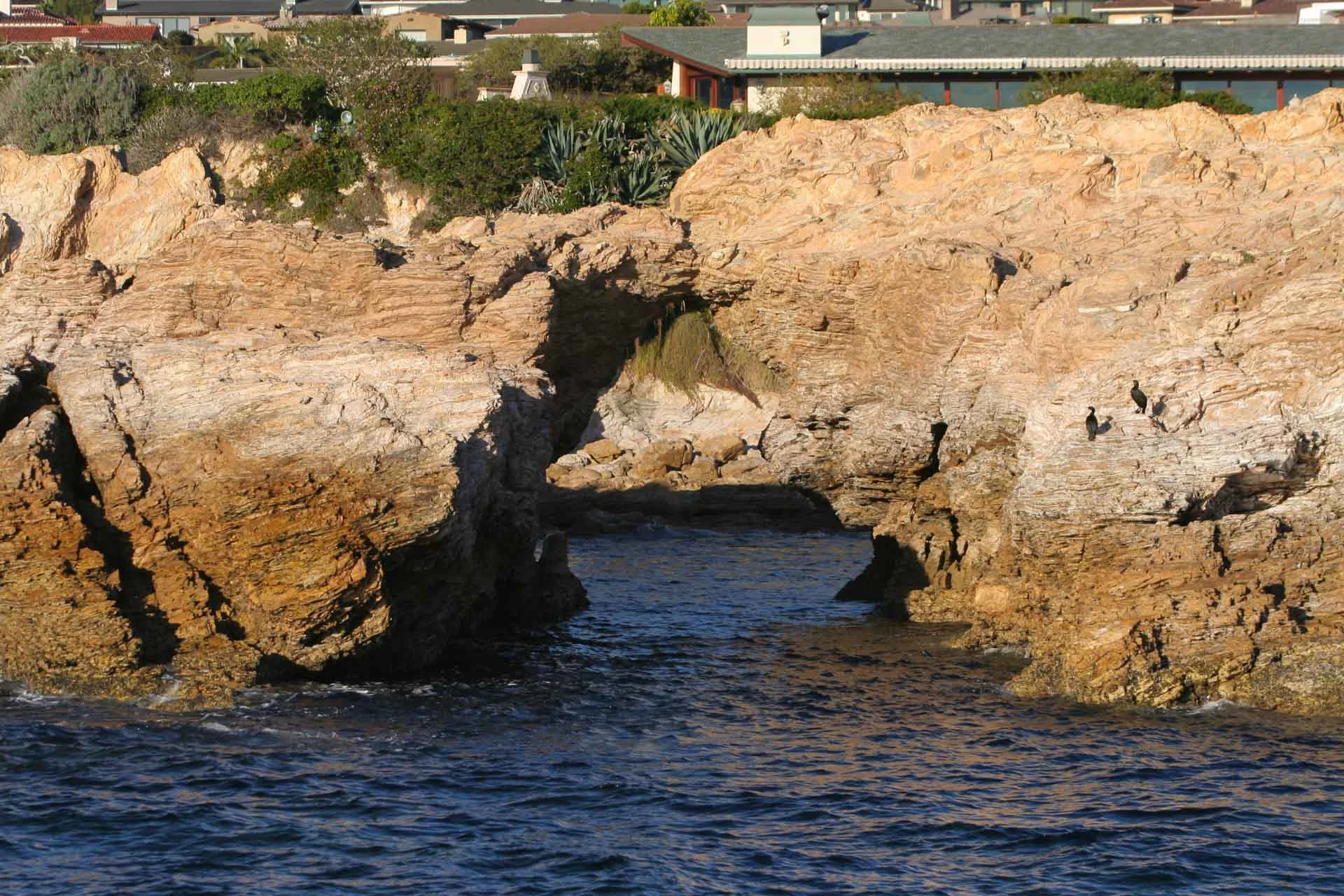 Overview — Sea life Discovery Tours