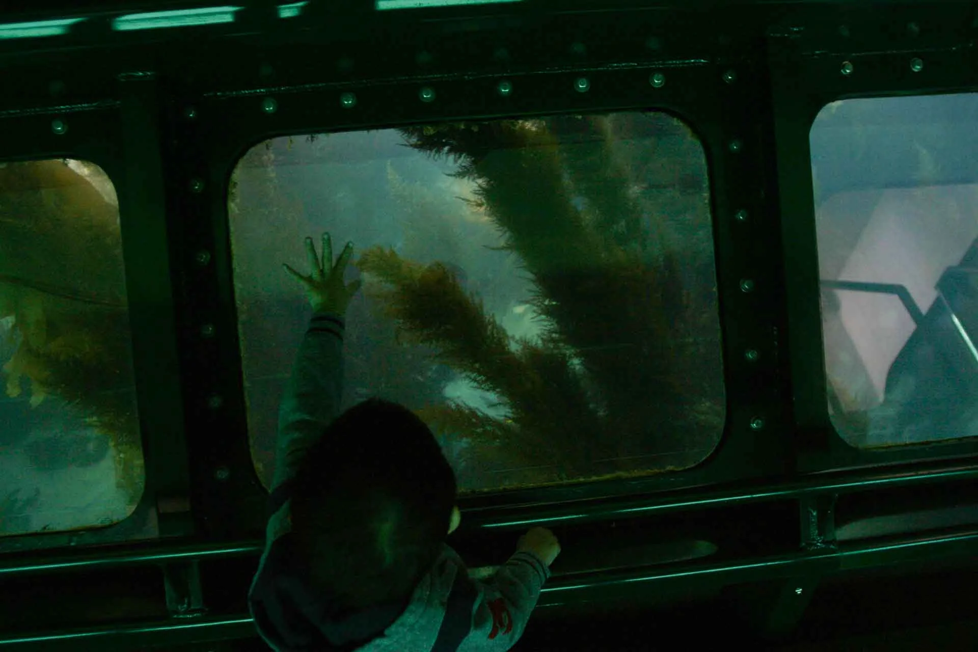 Overview — Sea life Discovery Tours