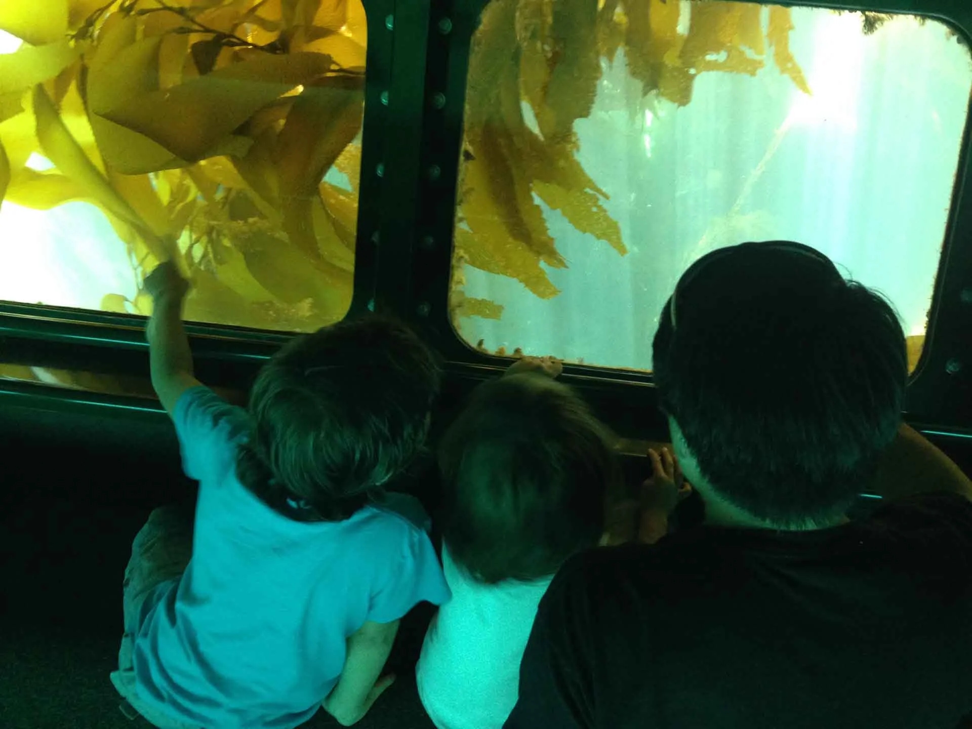 Overview — Sea life Discovery Tours