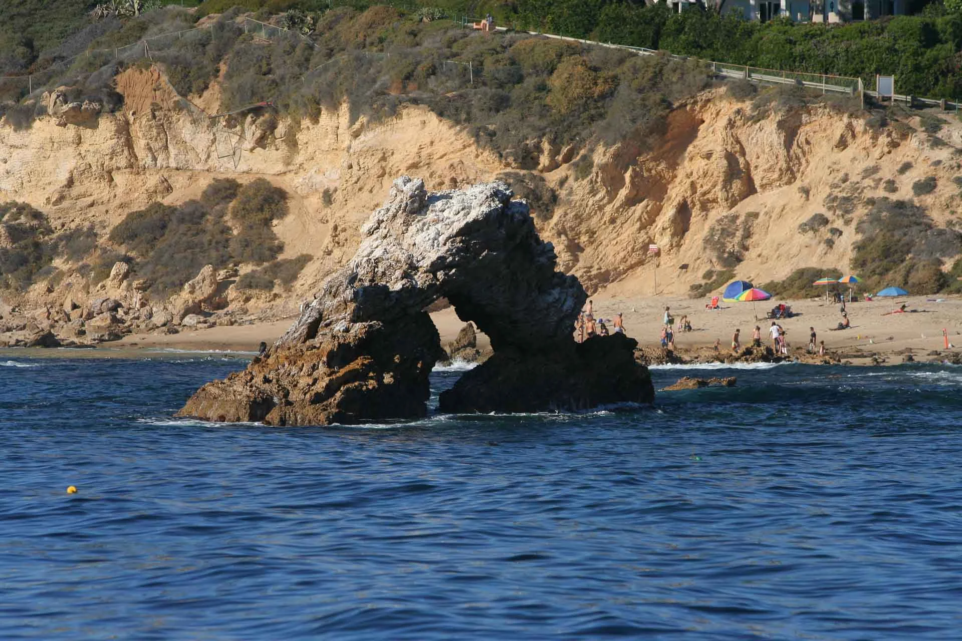 Overview — Sea life Discovery Tours