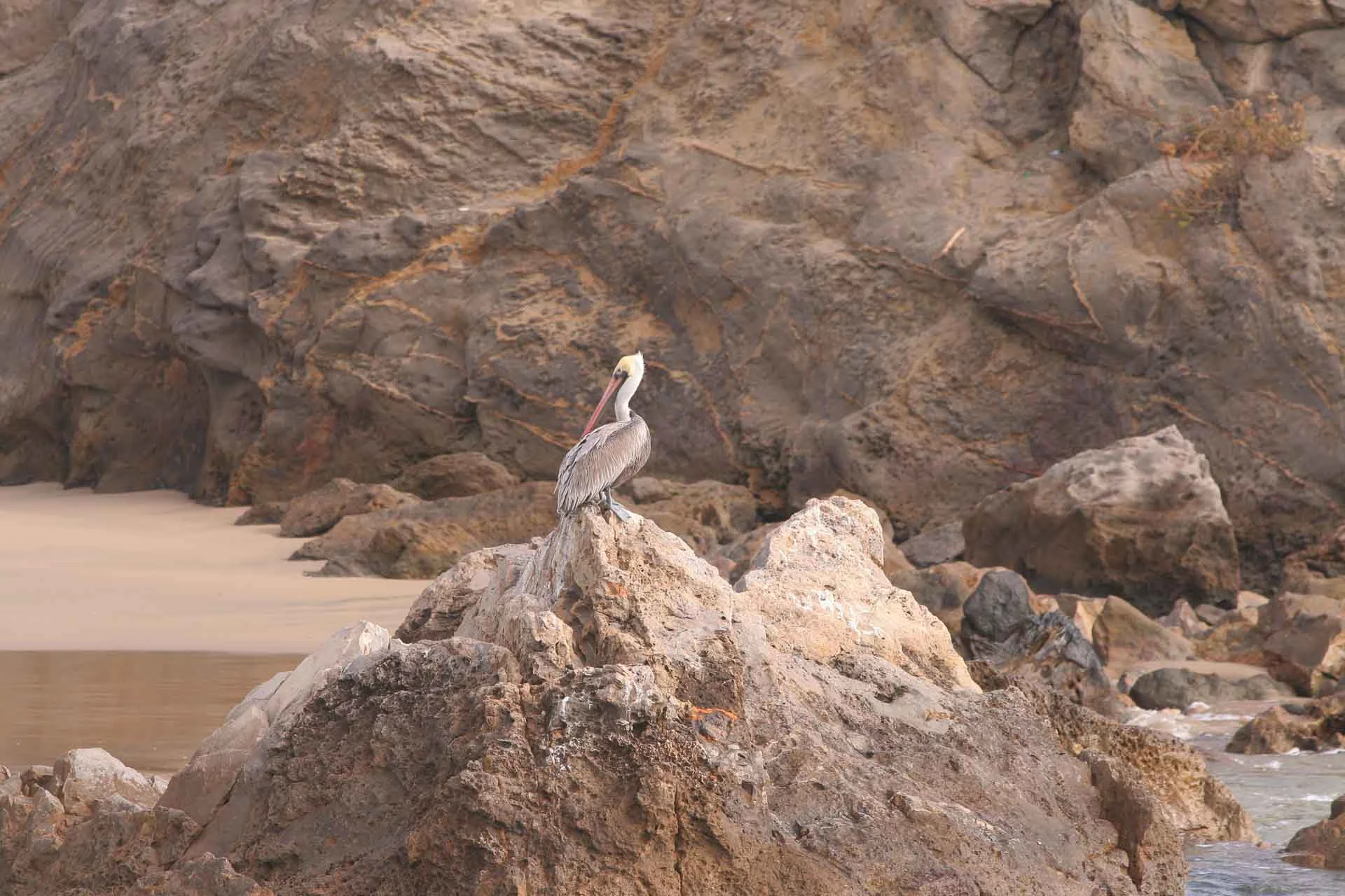 Overview — Sea life Discovery Tours