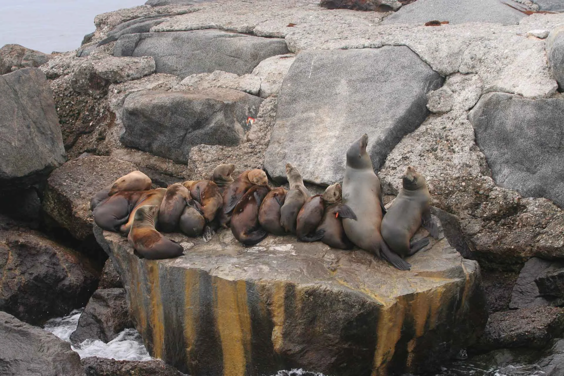 Overview — Sea life Discovery Tours
