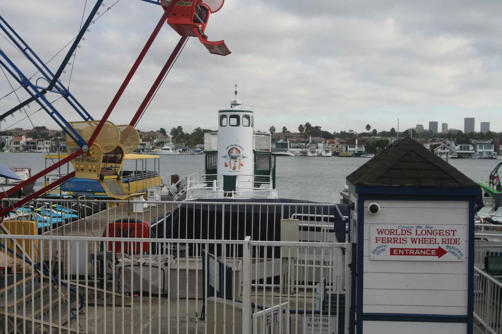 Submarine Views — Sea life Discovery Tours