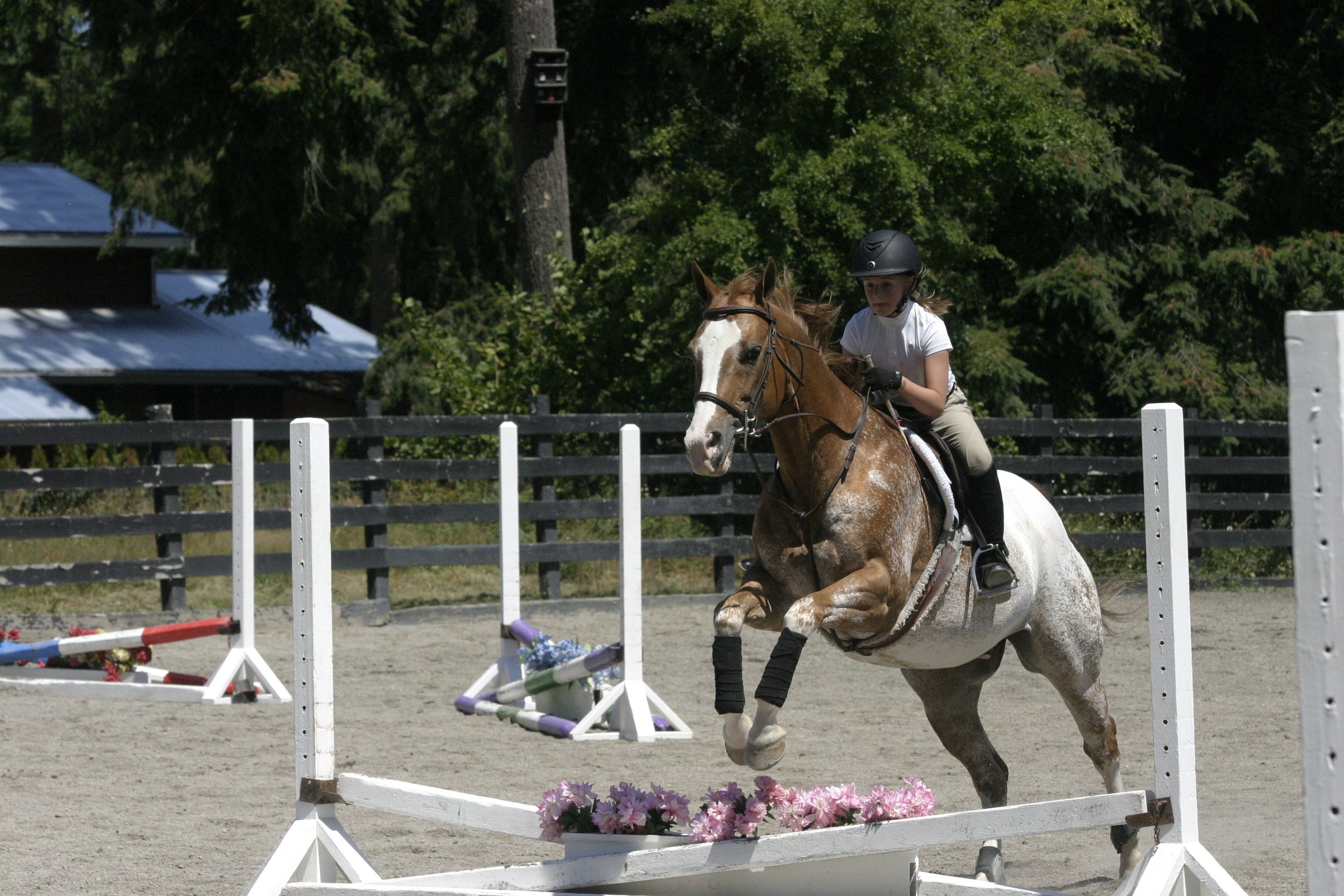 Riding Academy — Legacy Hunters & Jumpers Inc.