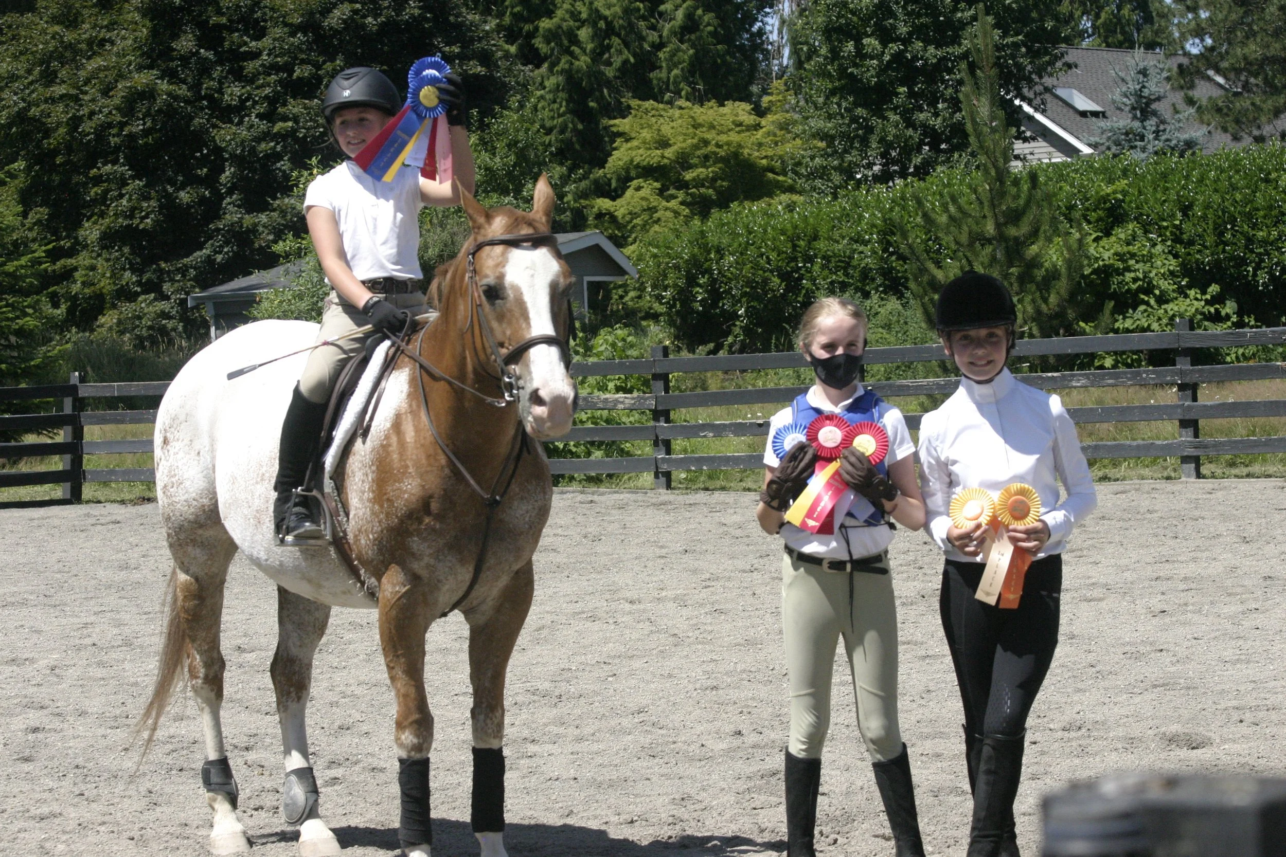 Riding Academy — Legacy Hunters & Jumpers Inc.