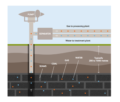 Formation Of Coal Flow Chart