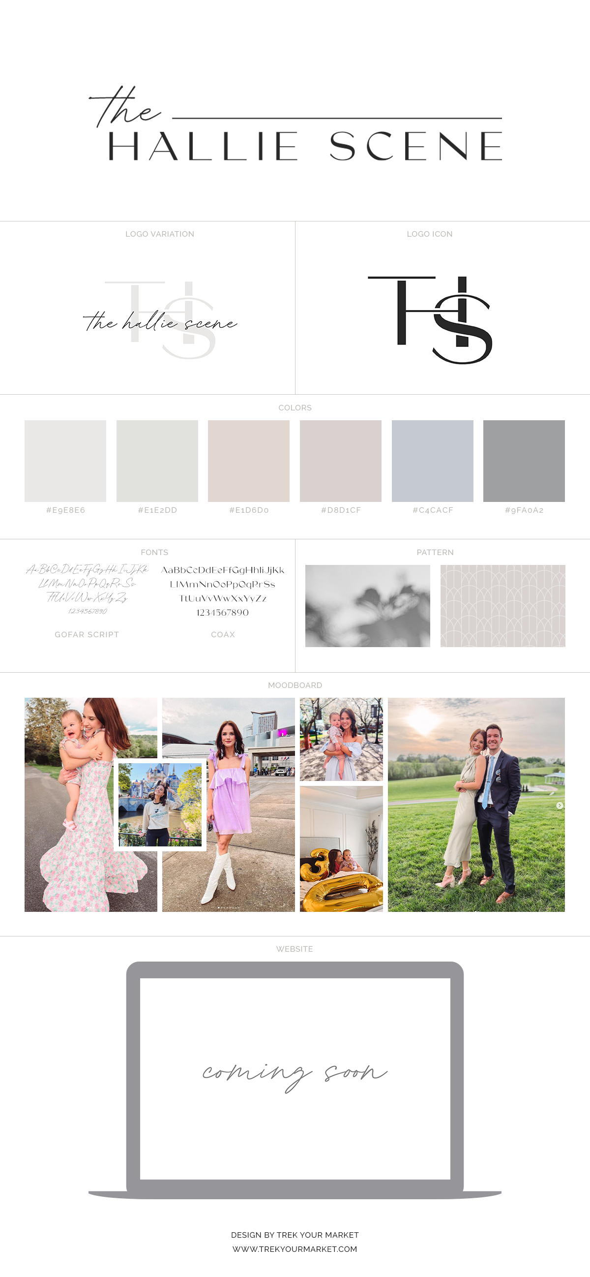 The Hallie Scene Launch! — Customizable Squarespace, Shopify ...