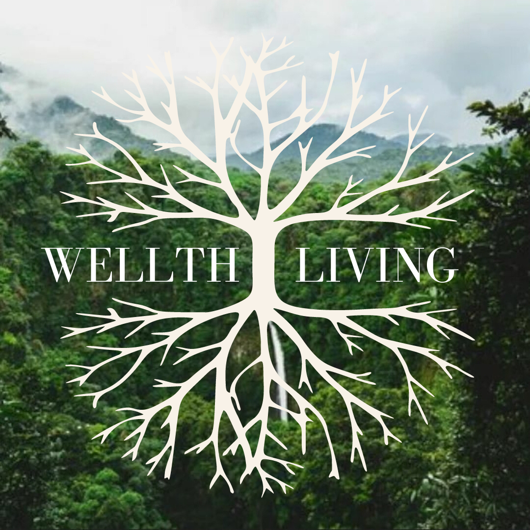 Retreats — RAYOS DEL SOL