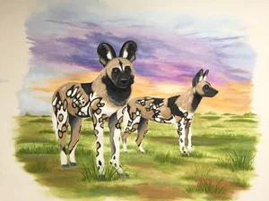 What's a Canid? | Animal Conservation