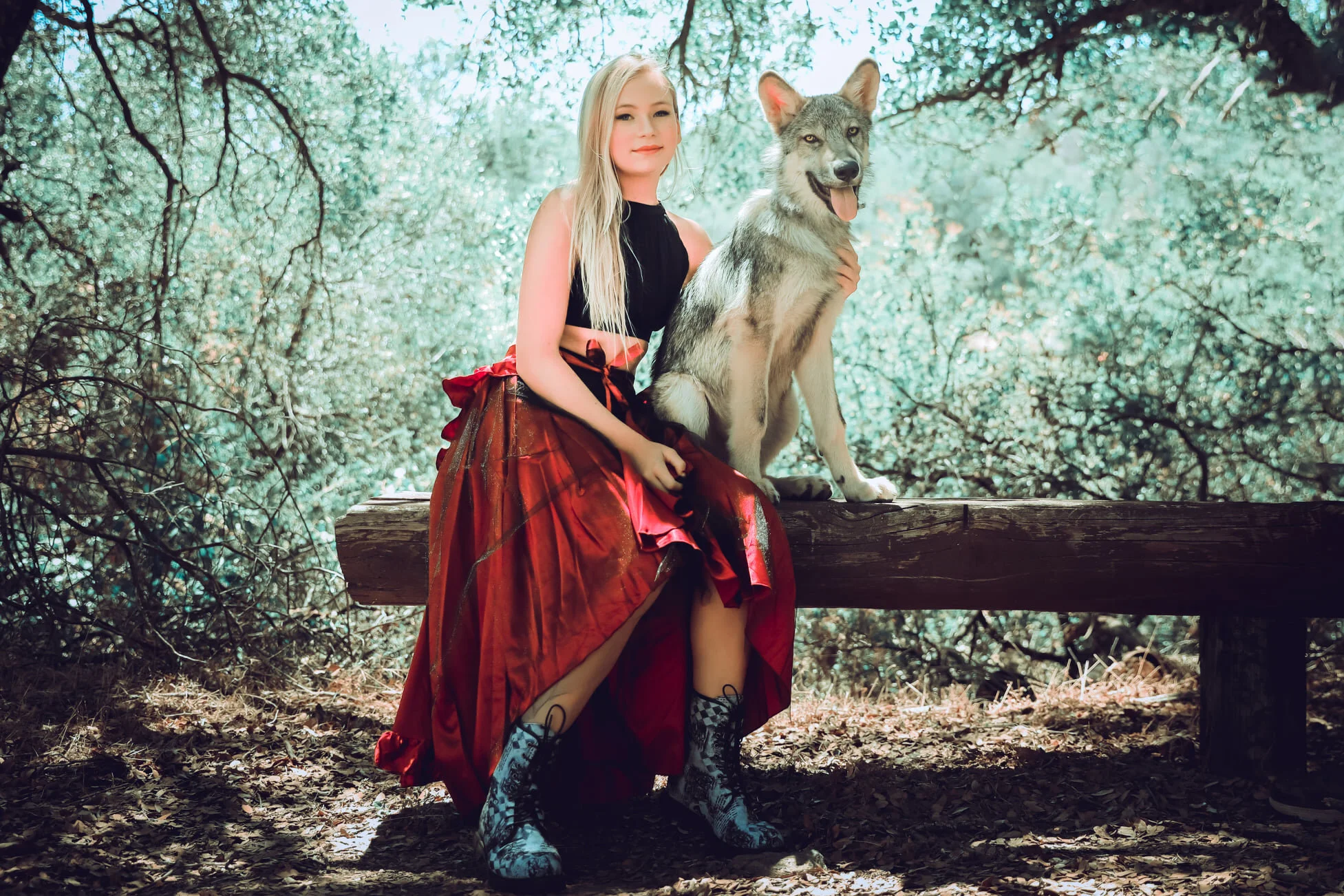 Lucan, our Wolf Ambassador | Animal Conservation