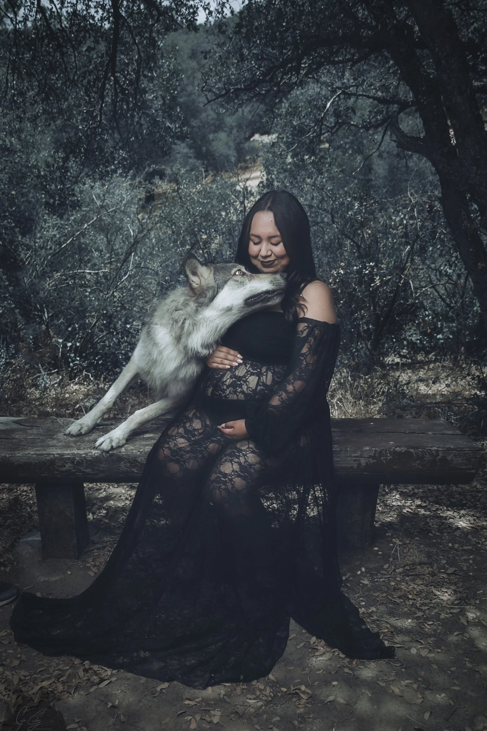 Lucan, our Wolf Ambassador | Animal Conservation