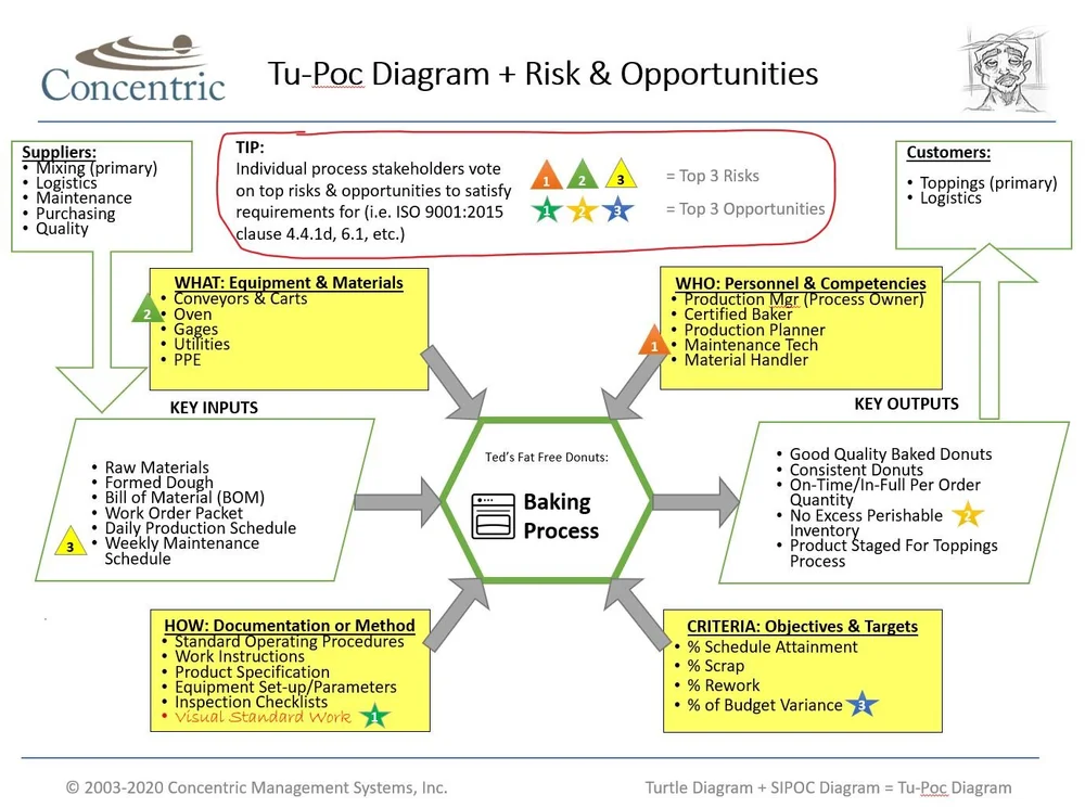 18 Pre-filled Turtle Diagrams + Workshop Slide Deck | Concentric Global