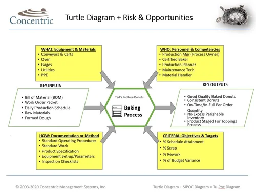 Instructions For Creating A Turtle Diagram | Concentric Global