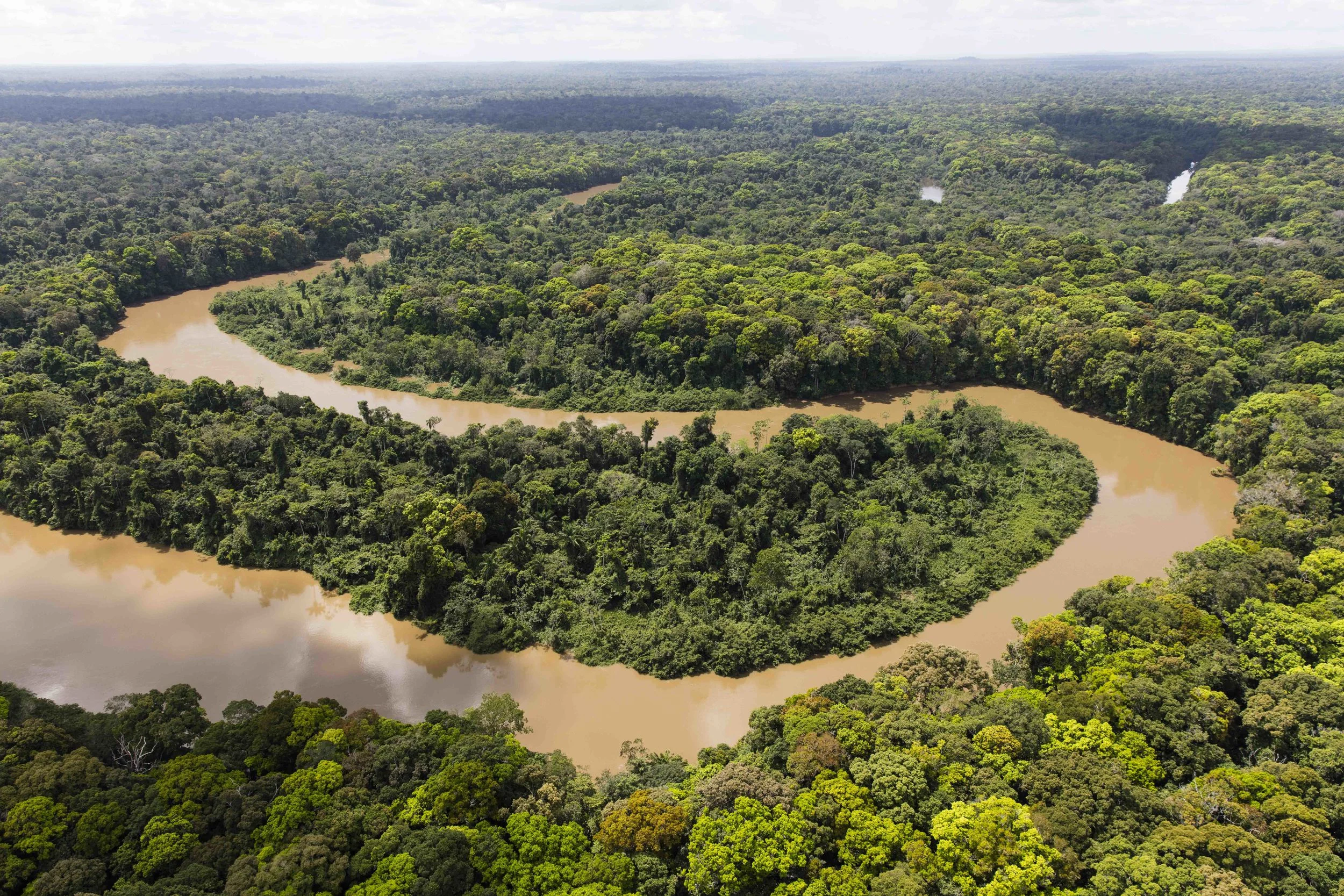 Rewa Eco-Lodge