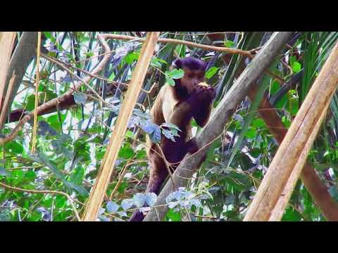 Gallery — Rewa Eco-Lodge