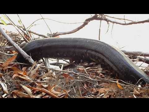 Gallery — Rewa Eco-Lodge