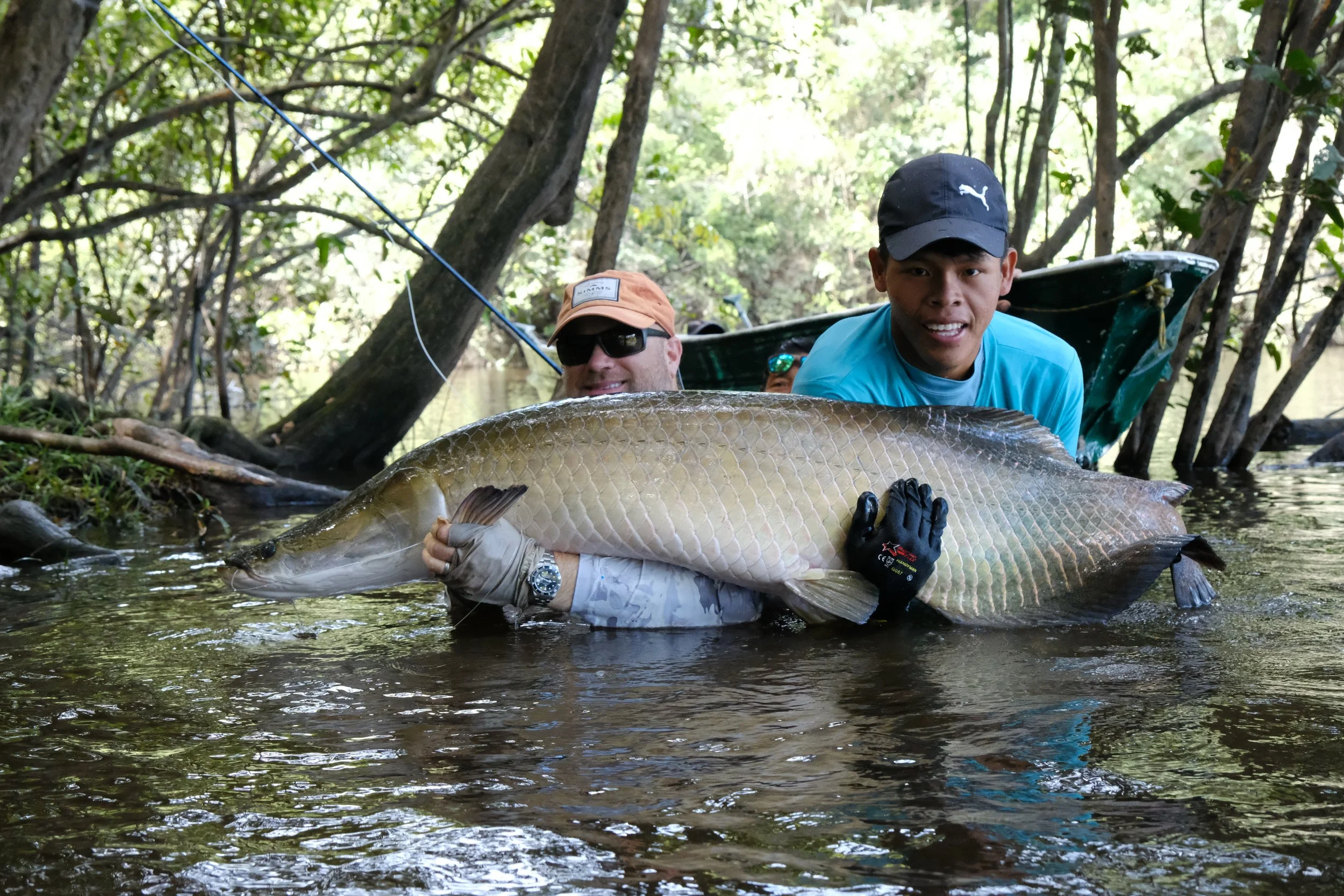 Arapaima — Rewa Eco-Lodge