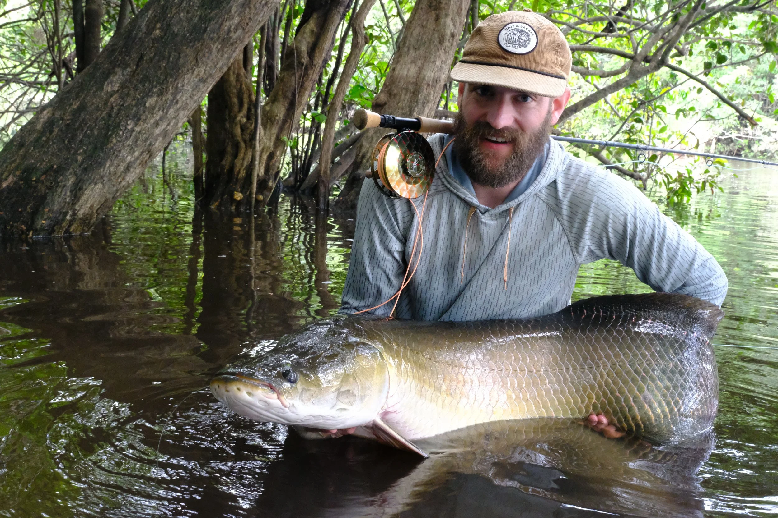 Arapaima — Rewa Eco-Lodge