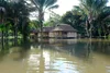 Accomodations — Rewa Eco-Lodge