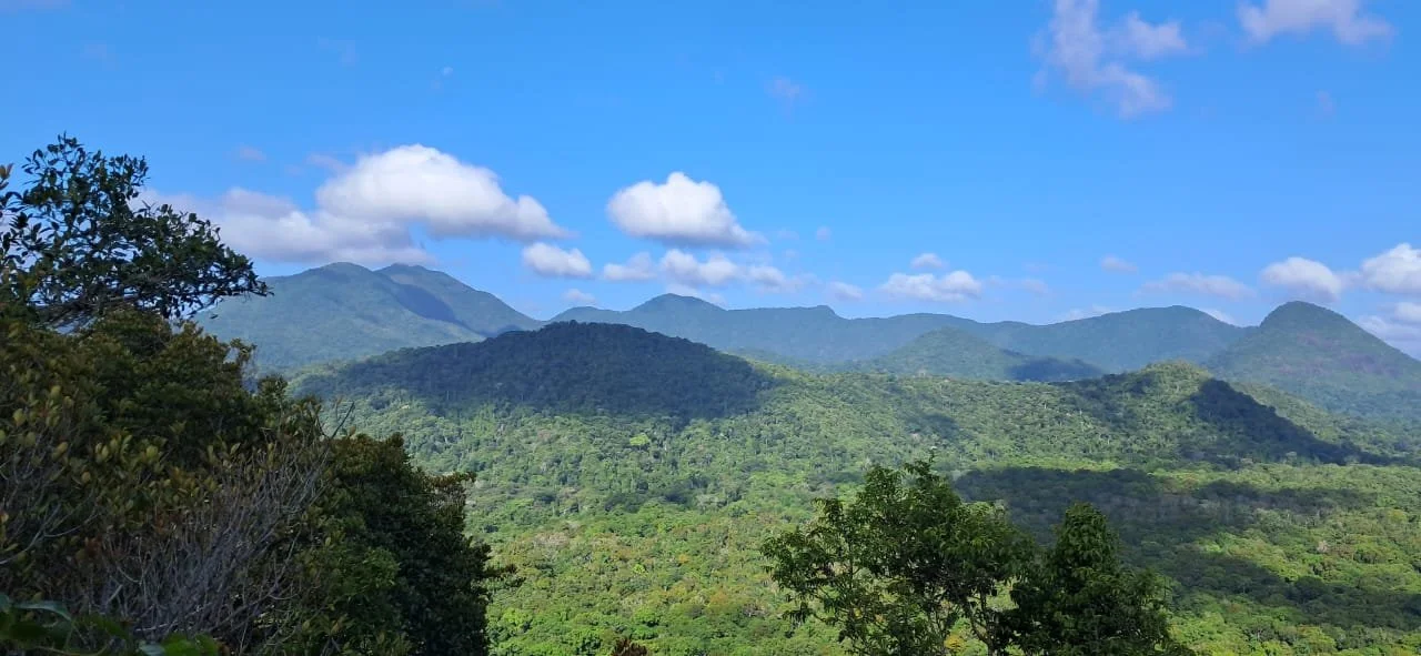 Why Visit Rewa Eco Lodge | Eco-Tourism in Guyana’s Rupununi — Rewa Eco ...