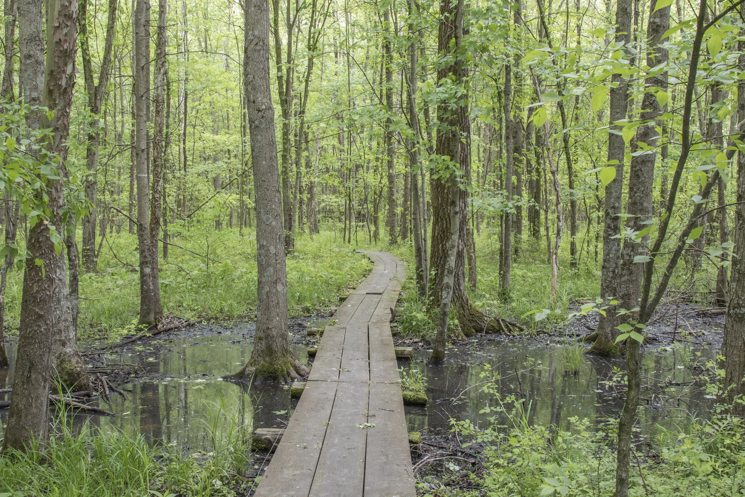 Southern Indiana Scenery