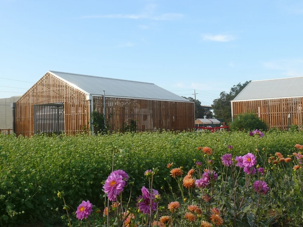 Resources — Stanford Life Design Lab