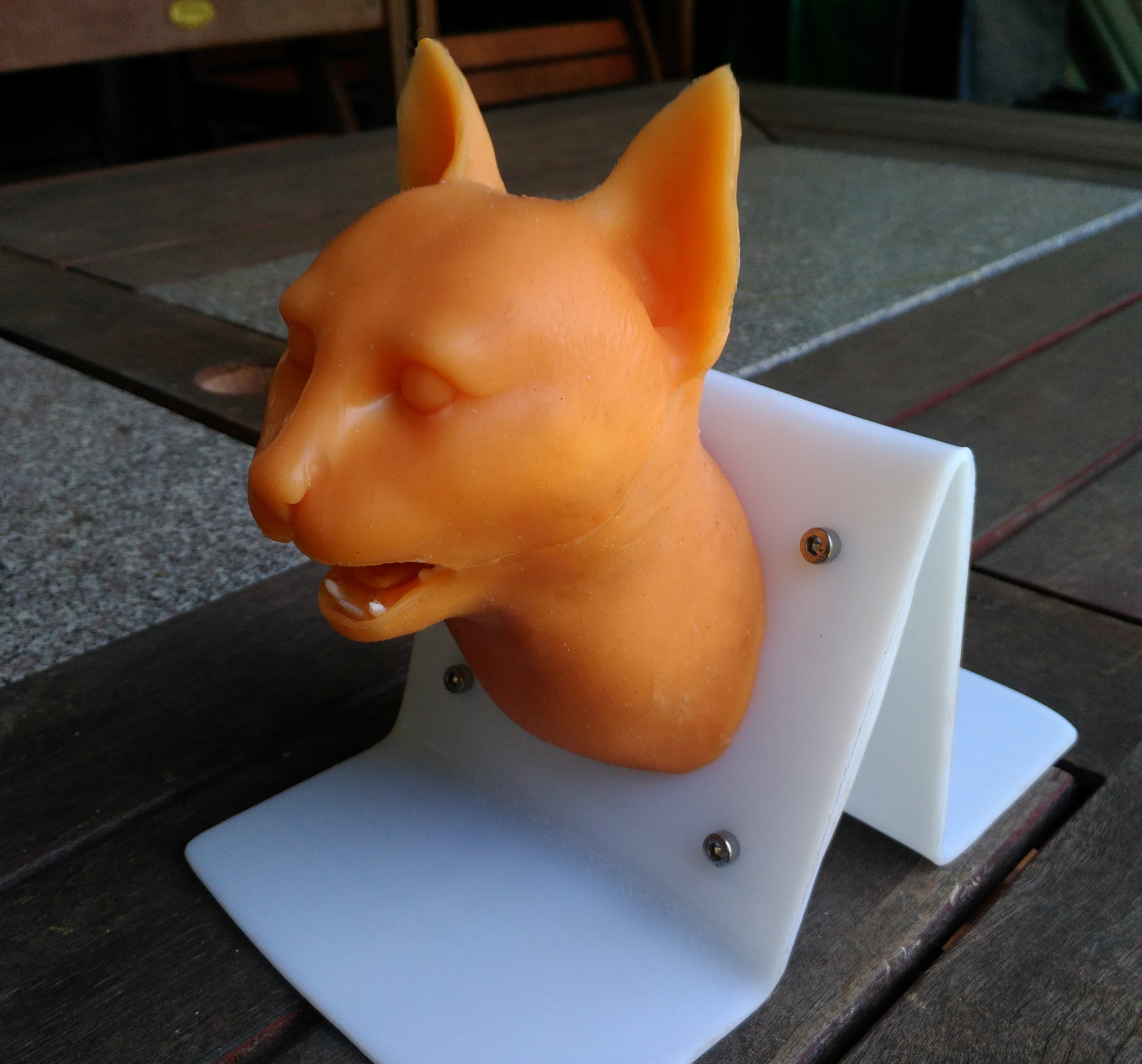 VETERINARY TEACHING MODELS — Studio Kite