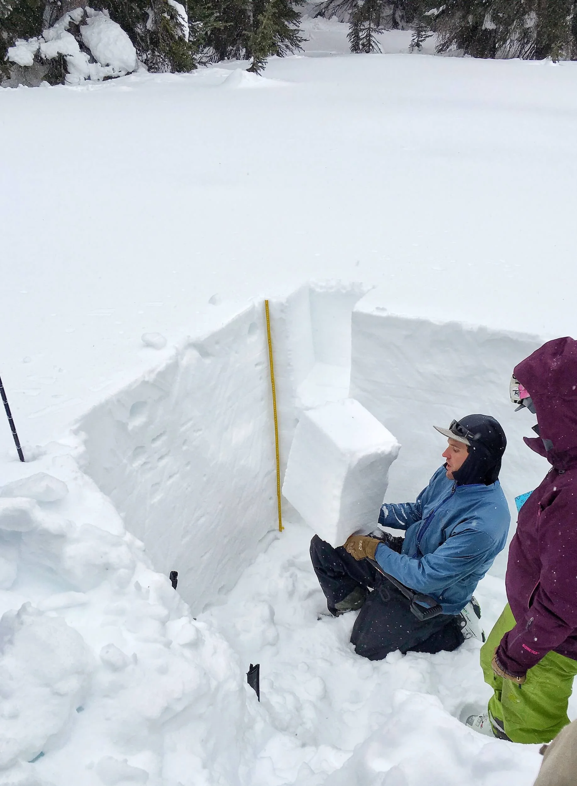 The Importance Of Avalanche Awareness & Backcountry Training — The Snow ...