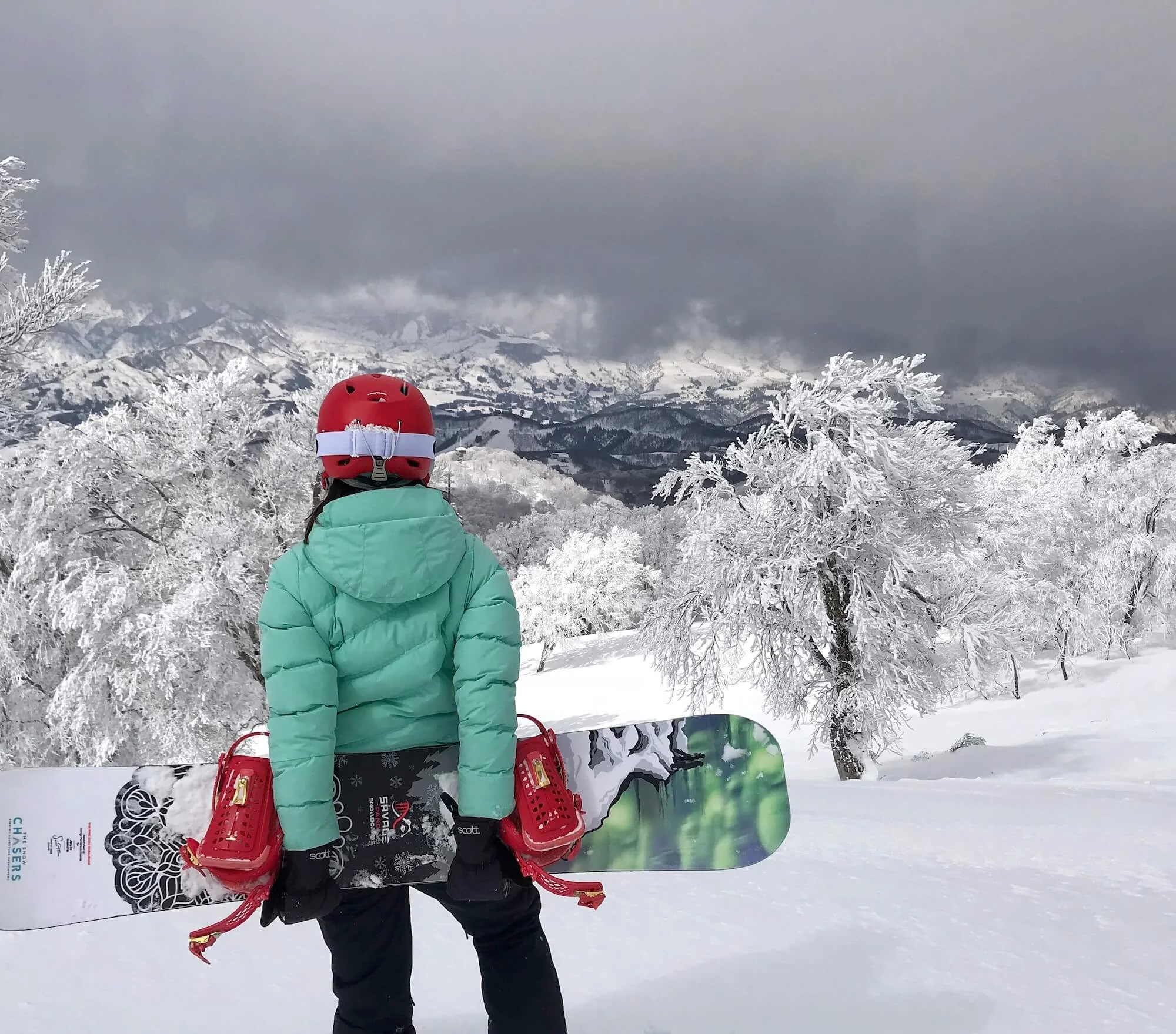 Going Custom With Savage Panda – An Extraordinary Experience From ...