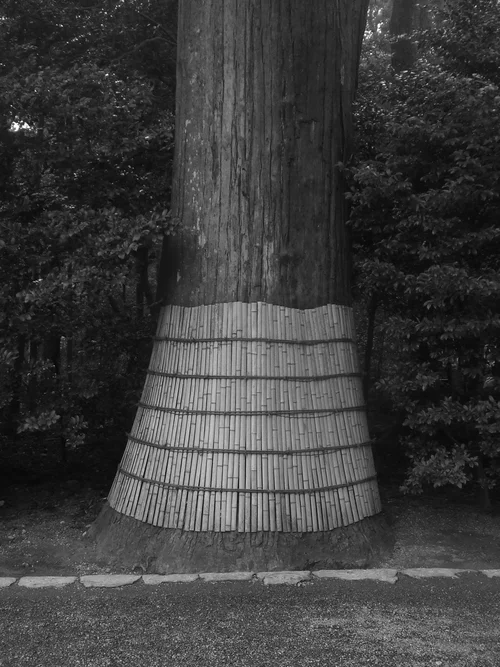 Japanese Minka XXXI - Roof Framing 9: Wagoya Framing — FOLKO