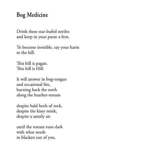 Hamilton Gallery Annemarie Ní Churreáin | Four Poems