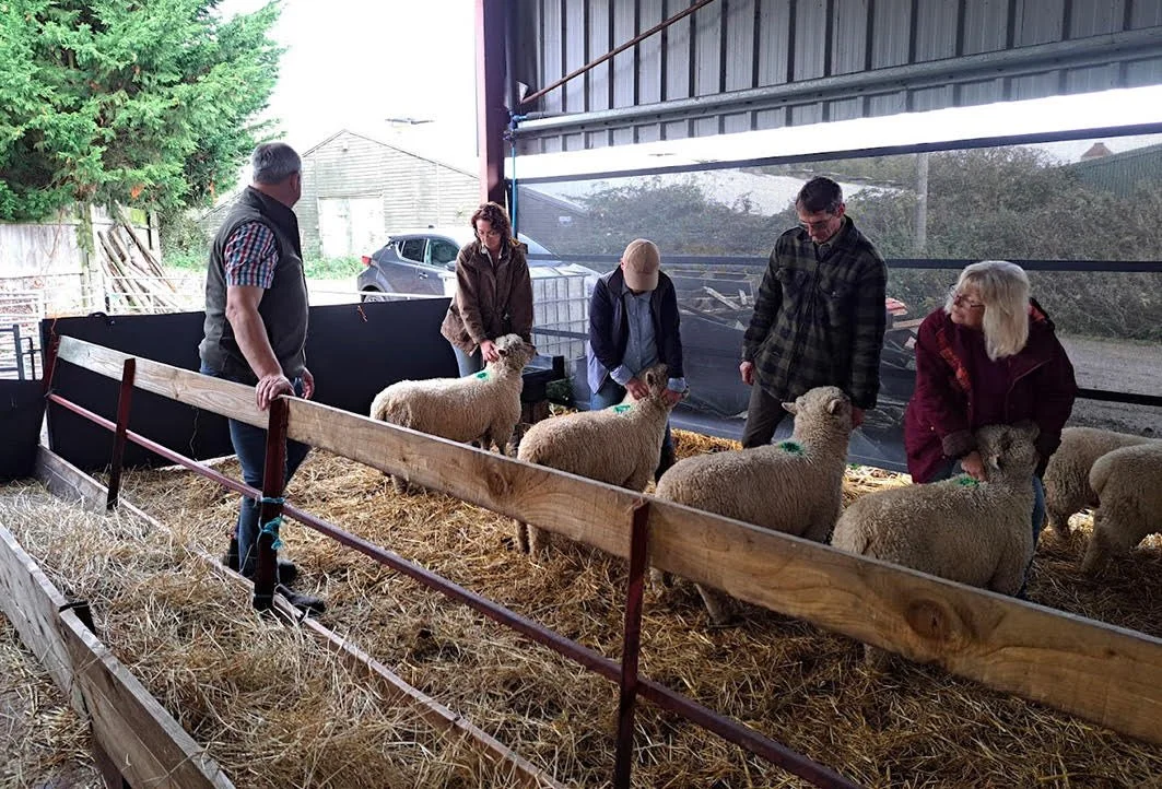 Southdown Judges’ Workshop — Southdown Sheep Society