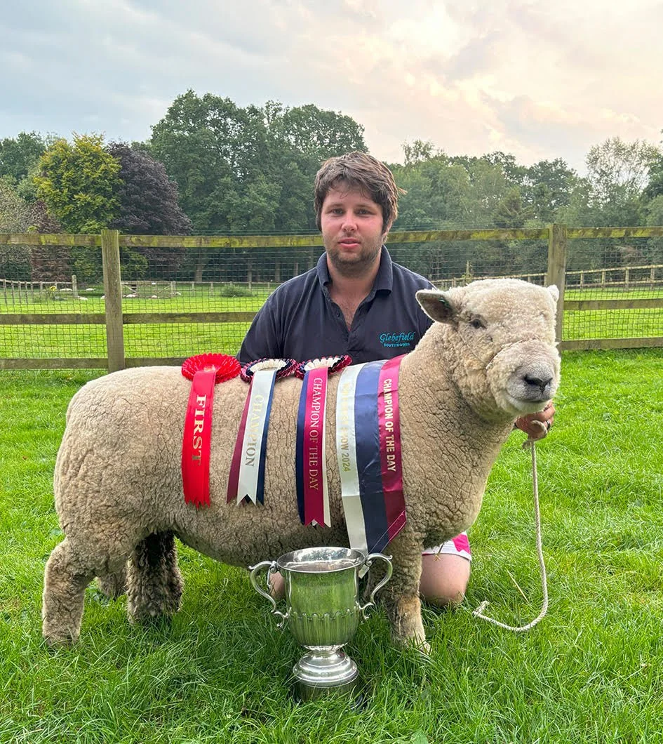 Educating the public about sheep — Southdown Sheep Society