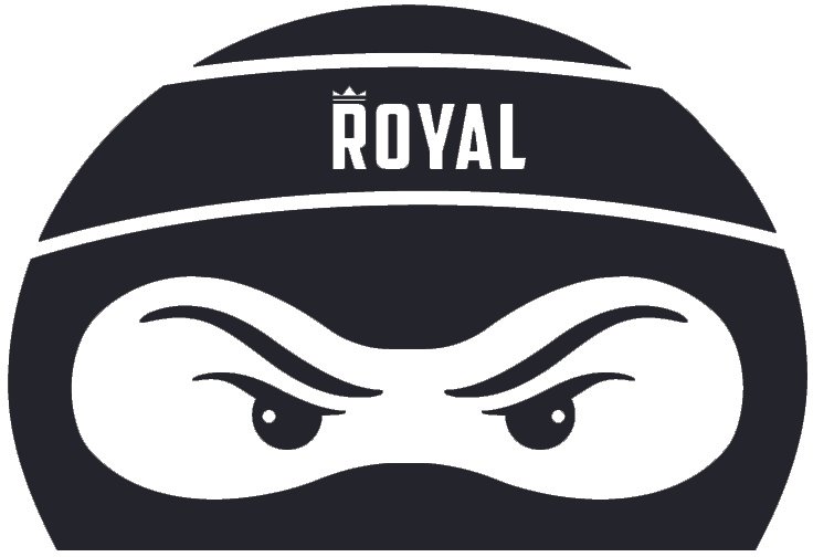 Royal Ninjas — Royal Gymnastics & Sports Academy Inc.