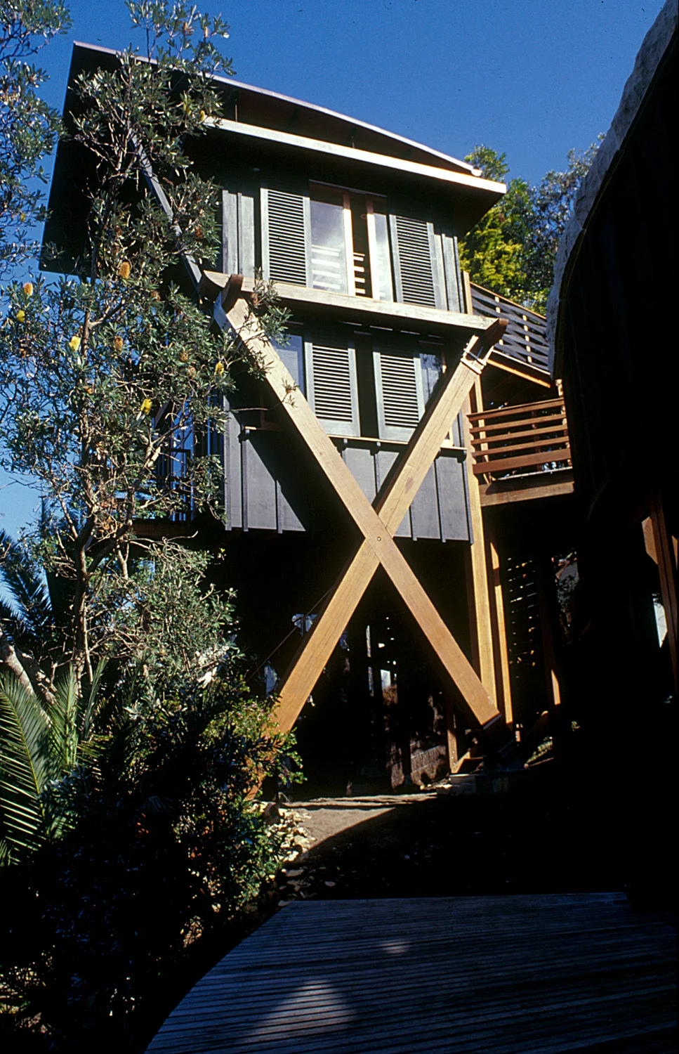 Tree House — Casey Brown Architecture