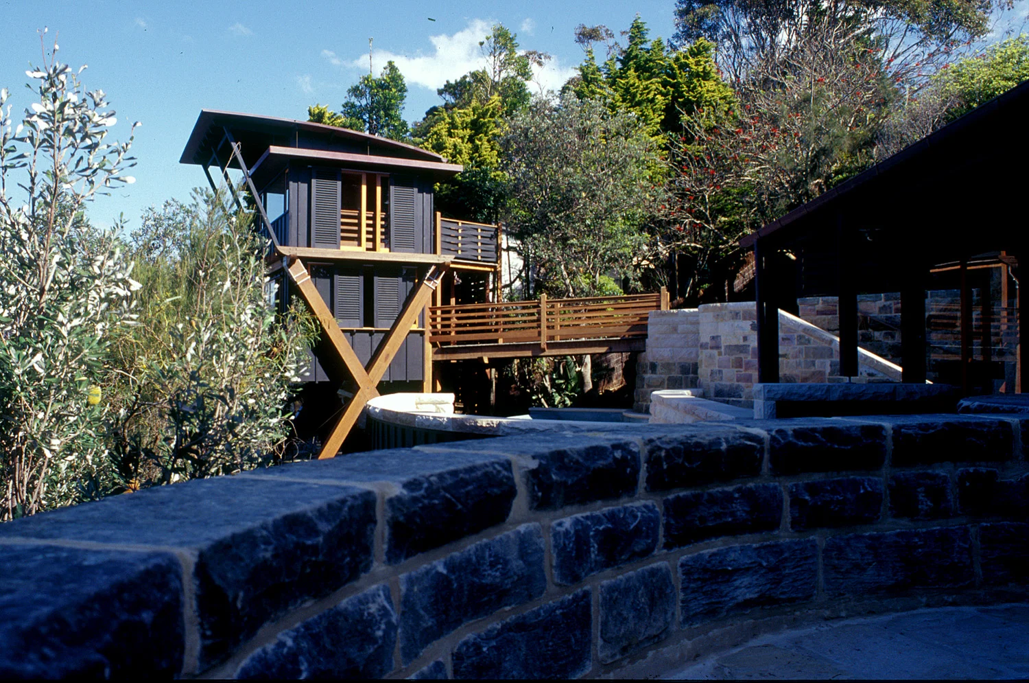 Tree House — Casey Brown Architecture