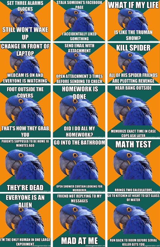 Paranoid Parrot Meme