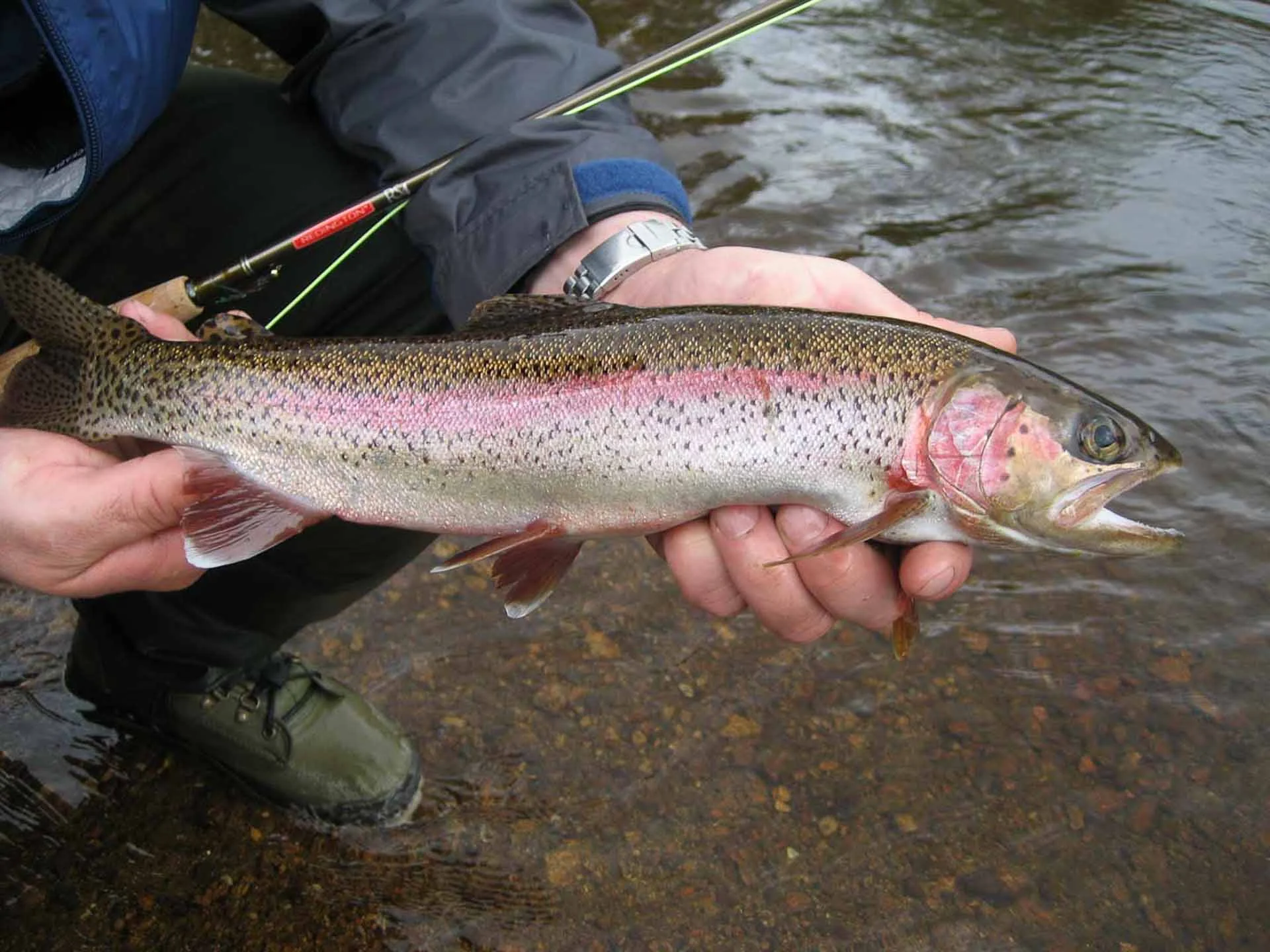 Alaska Fly Fishing — Sitka Alaska Outfitters